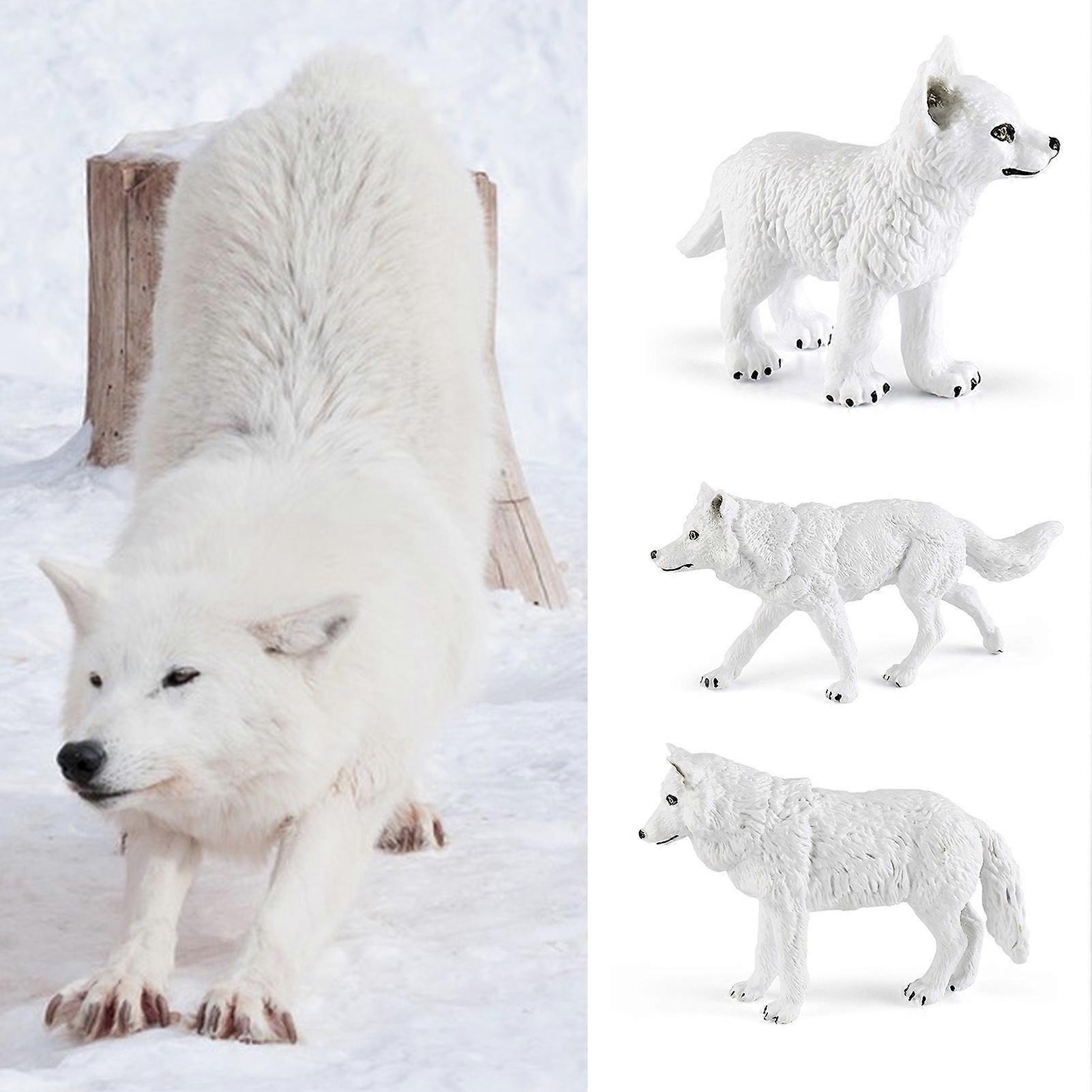 Arctic Wolf Model Various White Wolf Miniature Static Model Ornament ...