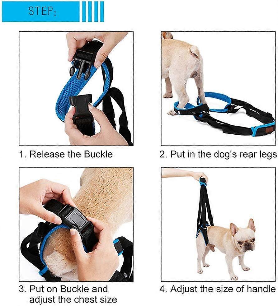 Portable Dog Lift Harness with Support Strap to Help Dogs with Weak ...