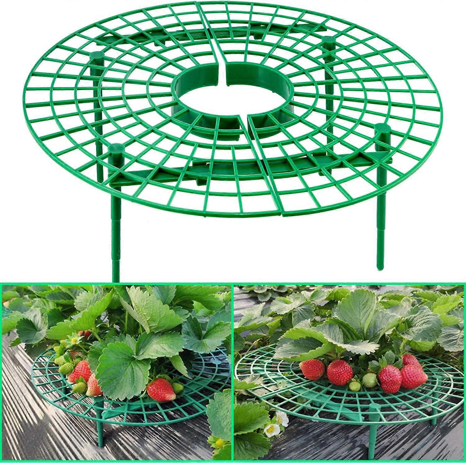 5 Pack Strawberry Stands - Strawberry Plant Stands Strawberry Planter ...