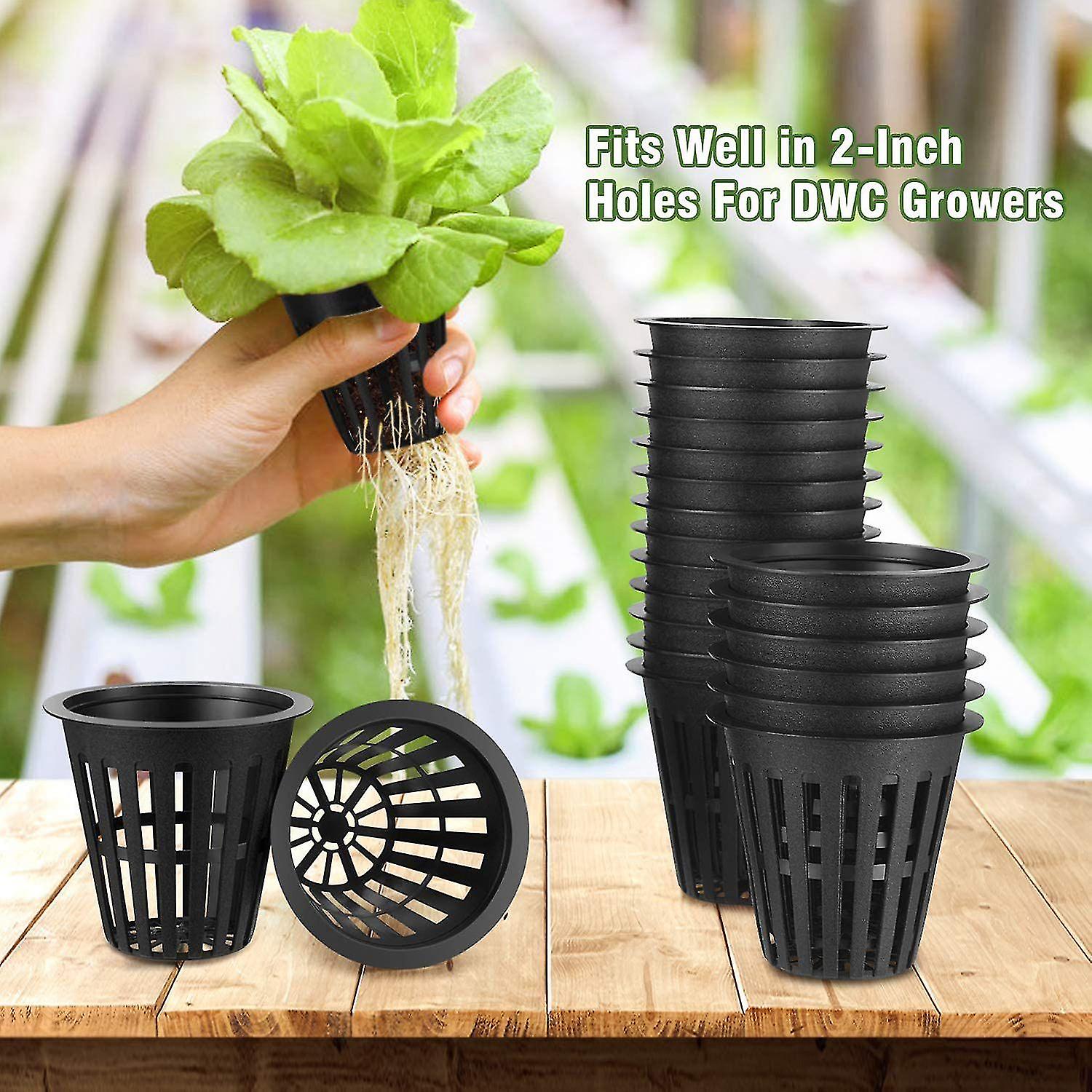 60 Pack 2 Inch Net Cups Slotted Mesh Wide Lip Filter Plant Net Pot ...