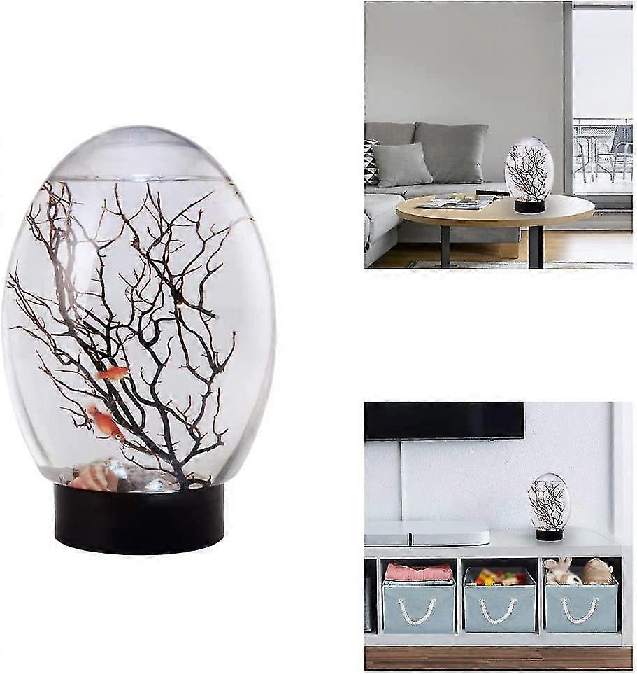 Mini Fish Tank Ecosphere Closed Aquatic Ecosystem Desktop Aquarium With ...