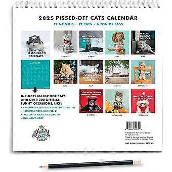 2025 Pissed-Off Cats Calendar Angry Cats 2025 Calendar | Fruugo UK