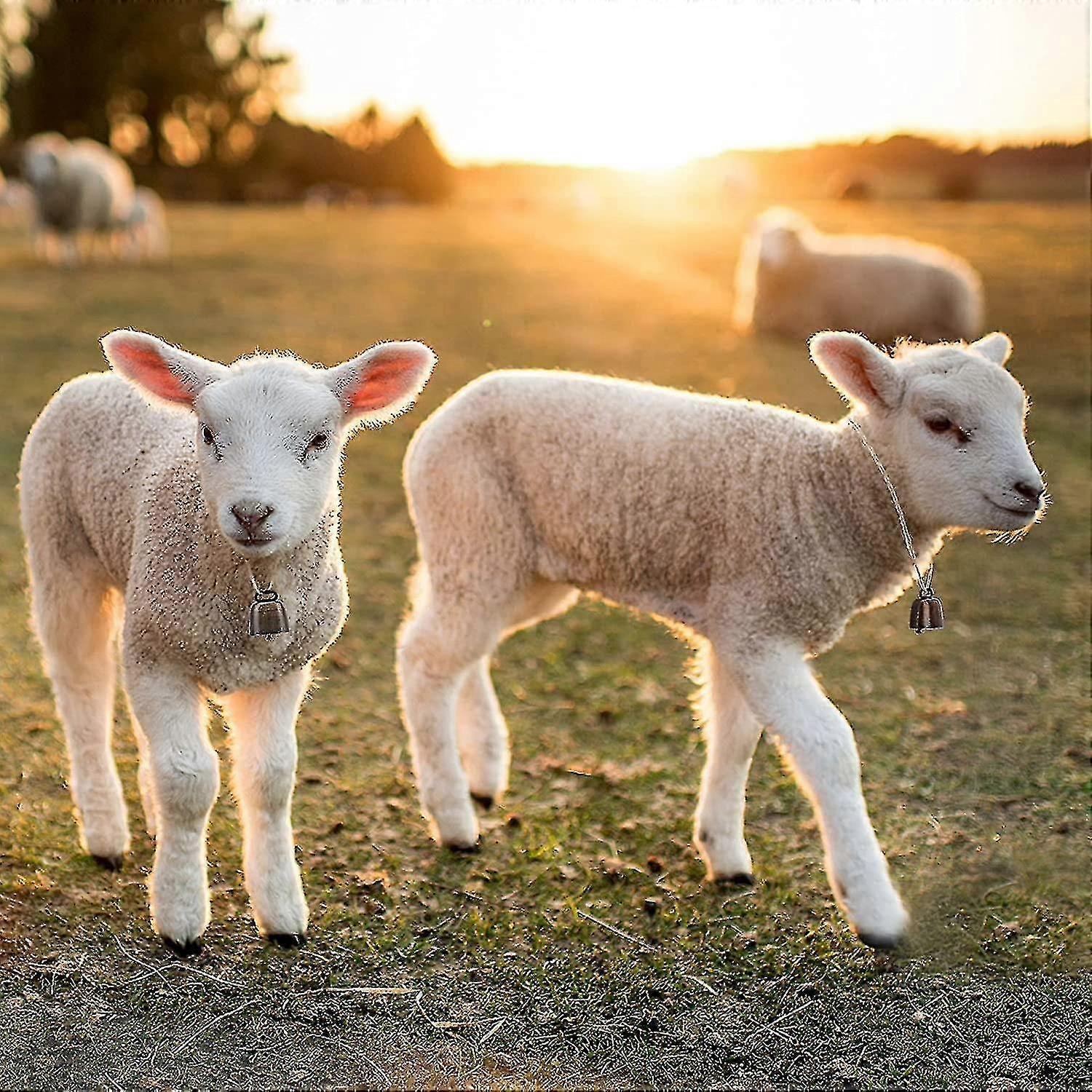 6 Piece Cow Bell, Sheep Cow Bells Pasture Bells, Copper Bells Cattle ...