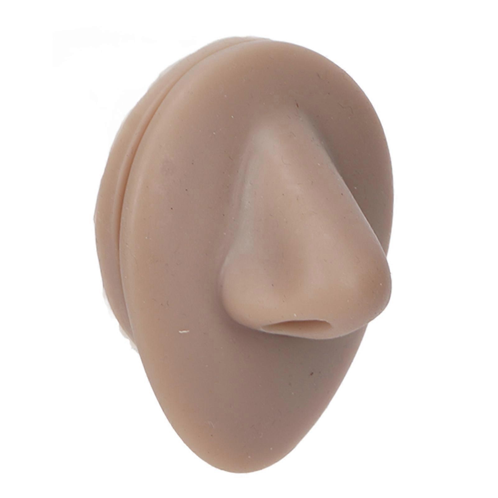 Silicone Nose Model Set Simulation 3D Soft Practice Nose Model for Nose ...