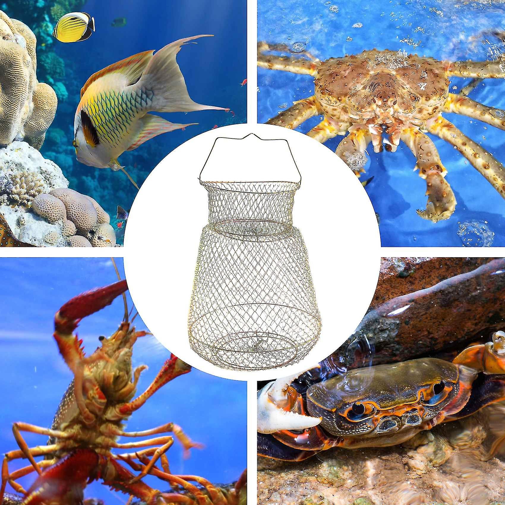 Foldable Portable Steel Wire Fishing Pot Trap Net Crab Crawdad Cage ...