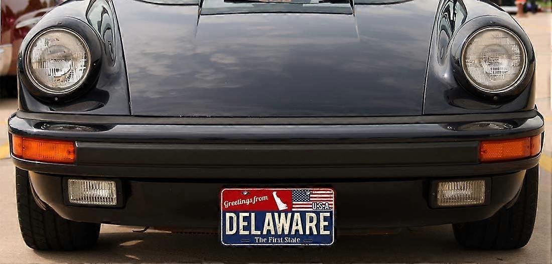 License Plate Baby Sea Turtles Decorative Car Front License Plate ...