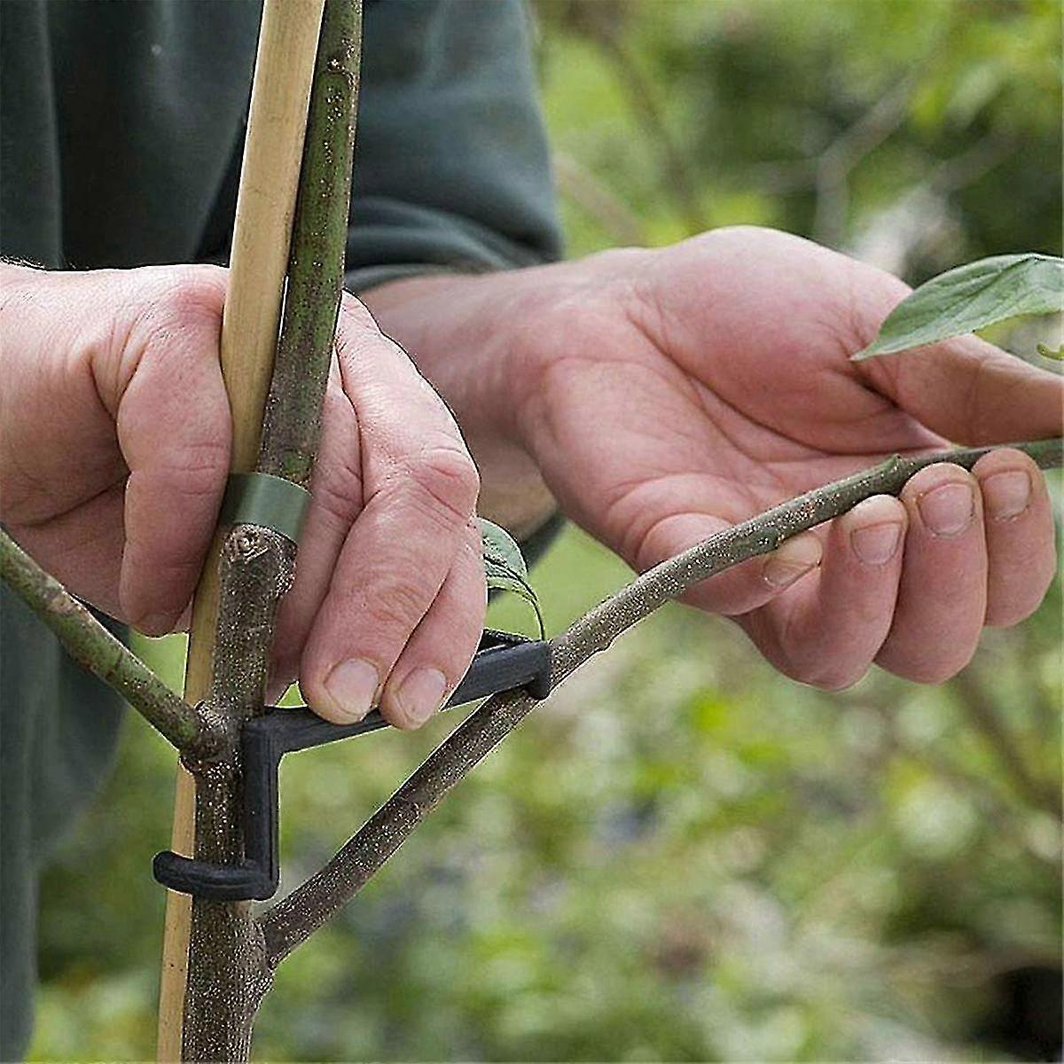 Branch Spreaders Plant Stem Traine Fruit Tree Branch Puller Tying ...