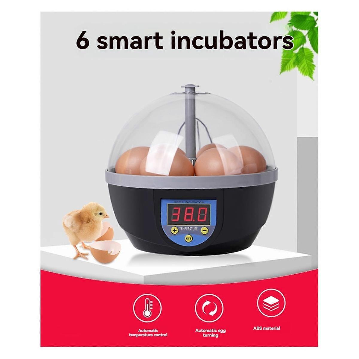 6 Egg Incubator Automatic Temperature Control Hatchery Machine Chicken Duck Quail Bird Brooder ...