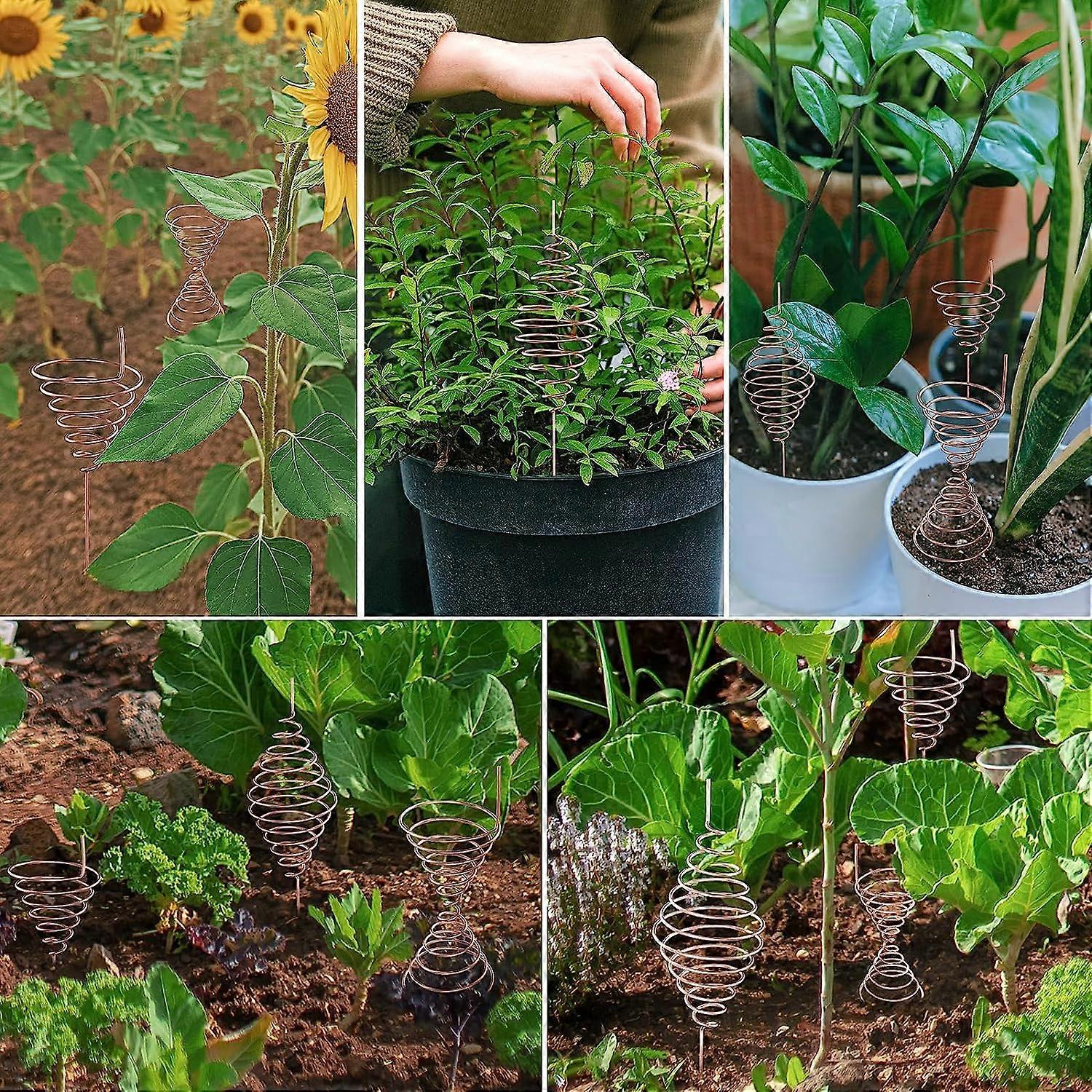 Fibonacci Coil Winding Jig for Electroculture Gardening, Electro ...