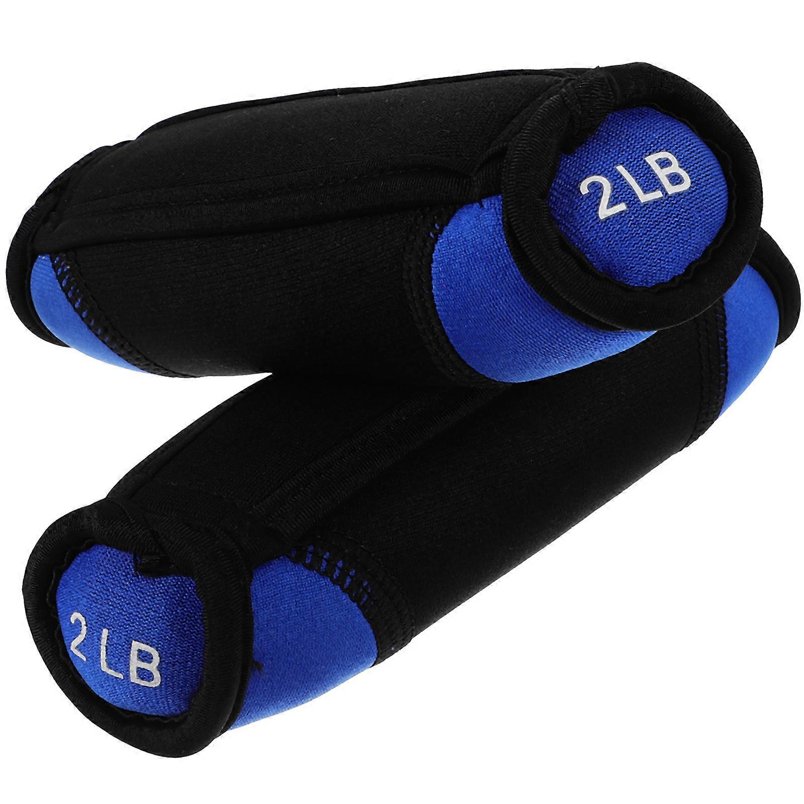 1 Pair of Walking Hand Weights Sandbag Dumbbells Hand Exercising ...