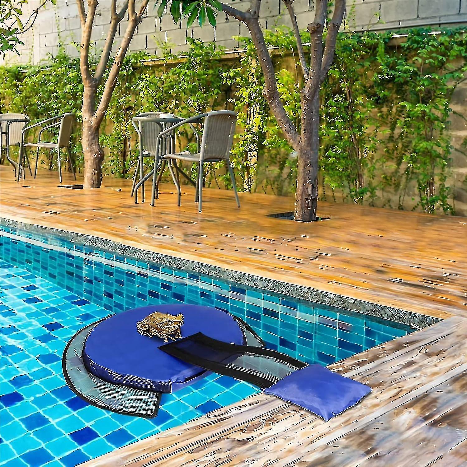 Pond Frog Ramp, Pond Escape Ramp, Outdoor Pond Frog Ladder, Inflatable ...