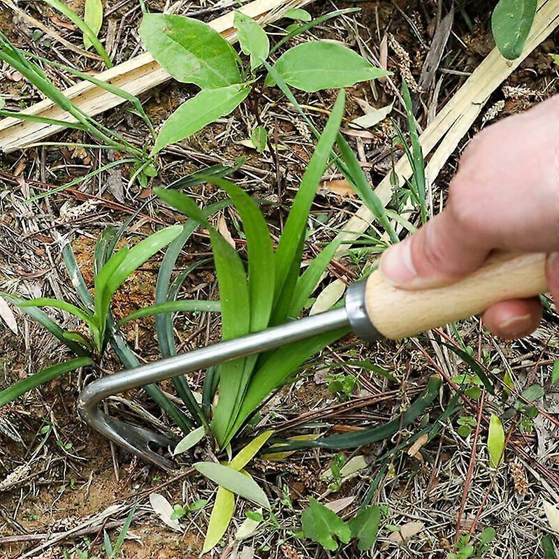 Stainless Steel Garden Hand Weeder, Digging, Transplanting, Weeding ...