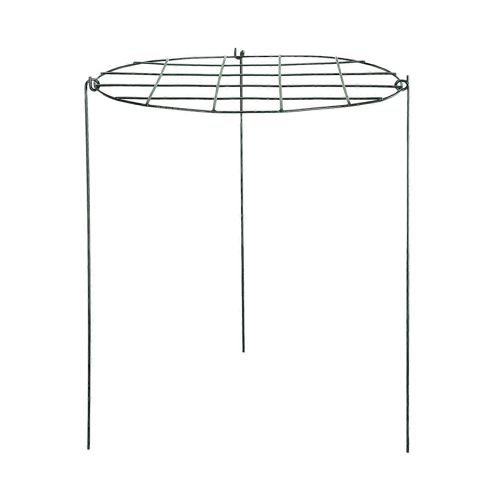 Garden Grid Shaped Iron Metal Plant Stand Strawberry Stand Plant ...