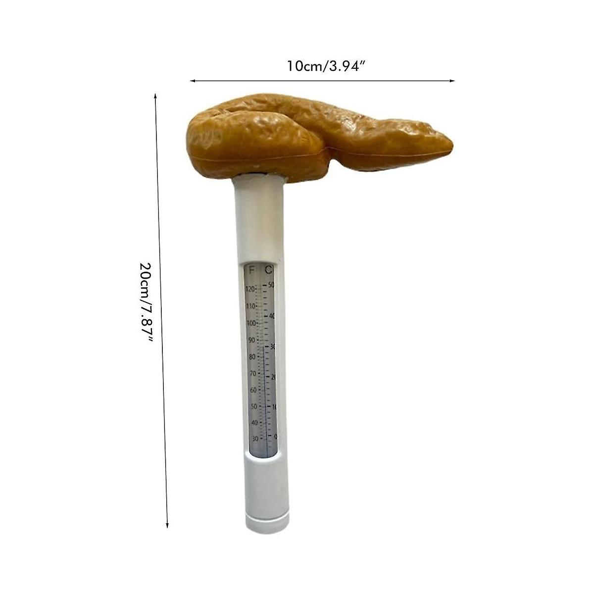 Poop Summer Swimming Pool Thermometer ,Funny Pool Thermometer Floating ...