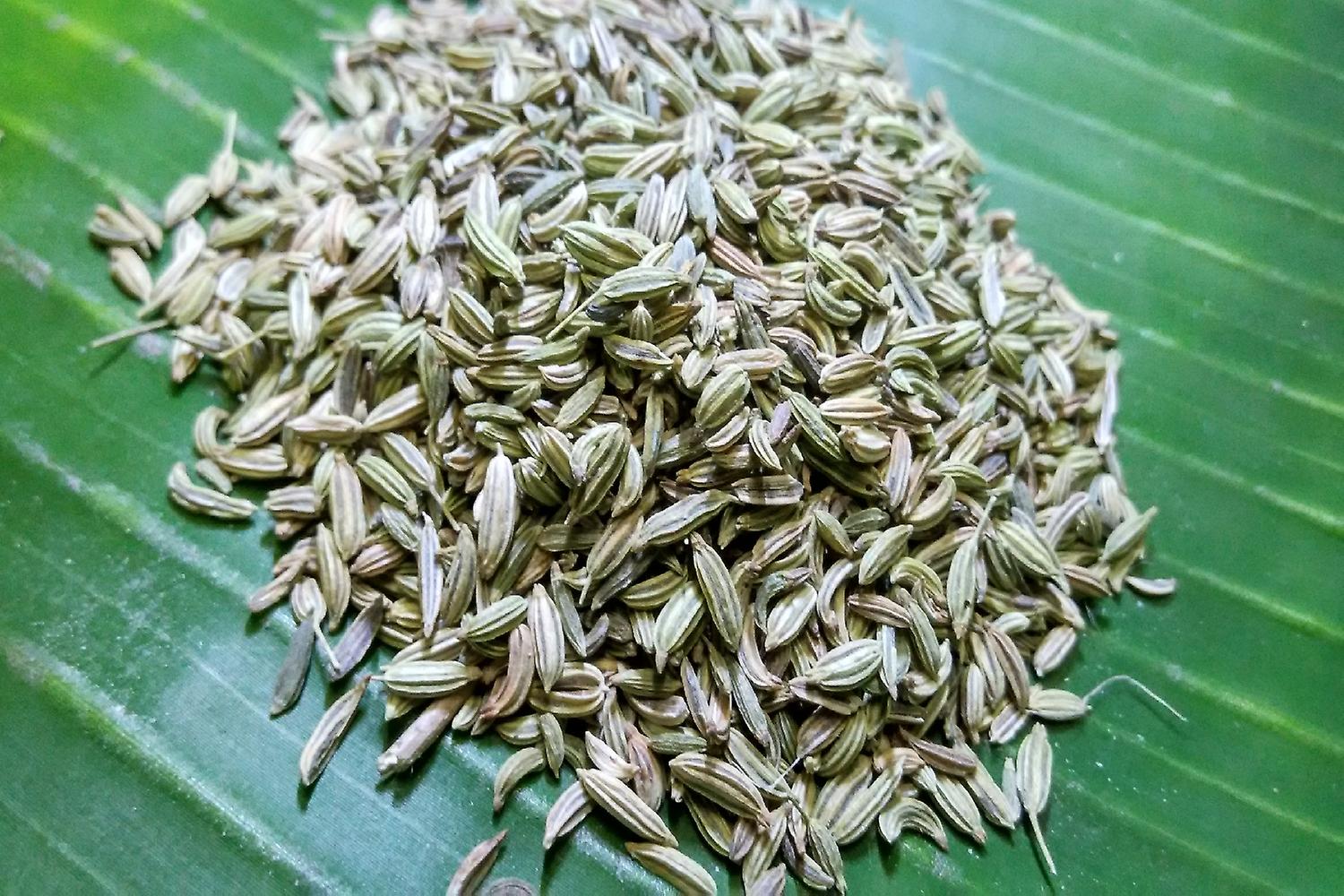 Saflax - Cultivation set - 200 seeds - Anise - Anis - anice - Anís ...