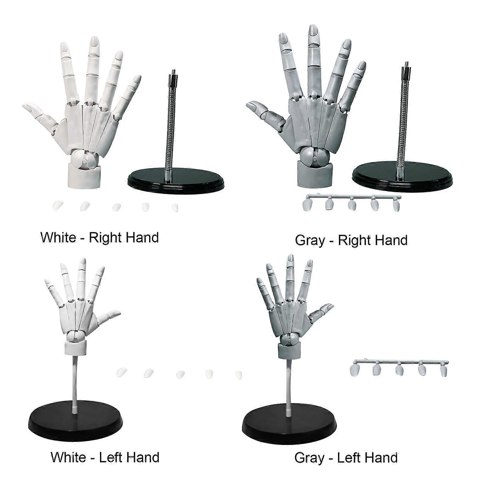 1:1 Flexible Right Hand Model, Joints Moveable Artists Manikin Hand ...