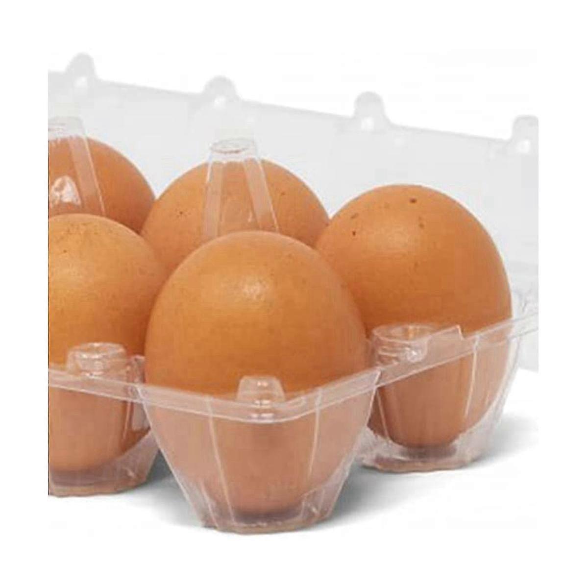 60 Pack Plastic Egg Cartons Cheap Bulk One Dozen Clear Empty Egg ...