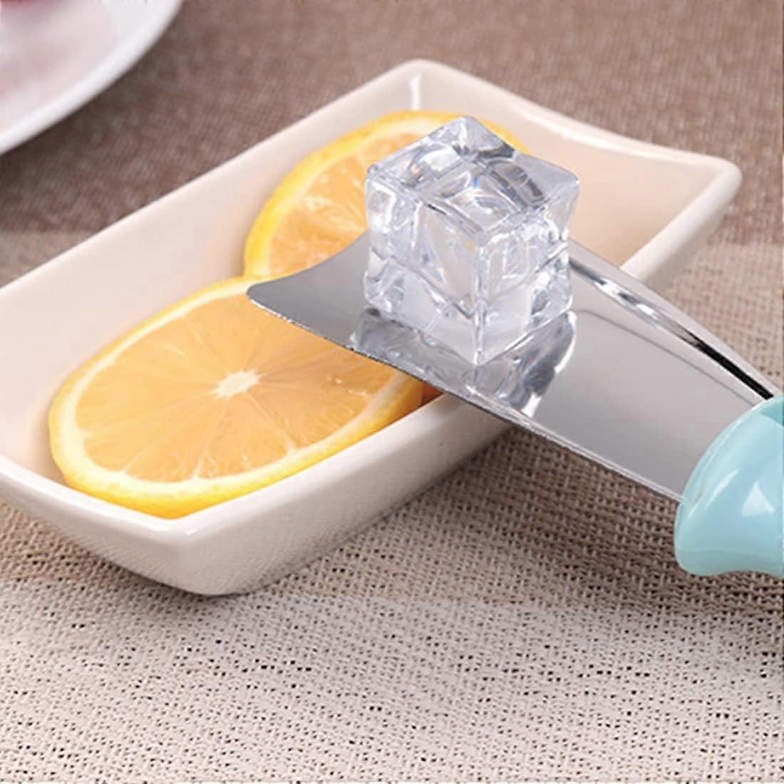 2pcs Defrost Scraper,Freezer Ice Scraper Stainless Steel,Home Kitchen ...