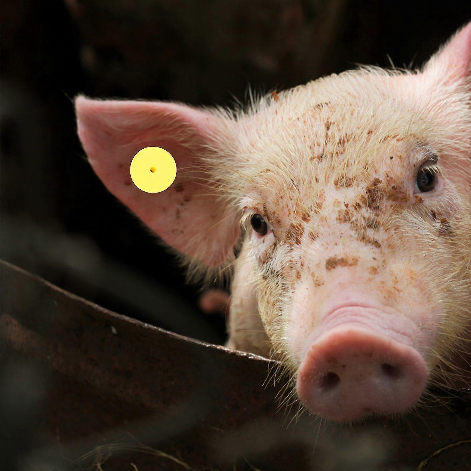 100 Sets Animal Ear Tags Farm Livestock Ear Tags for Sheep Cattle Cows ...