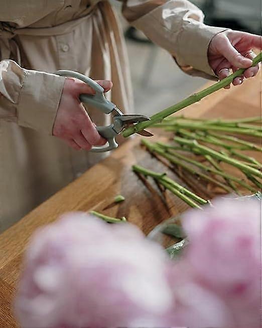 Flower Scissors 2 Pcs - Stainless Steel Floral Scissors, Flower Cutters ...