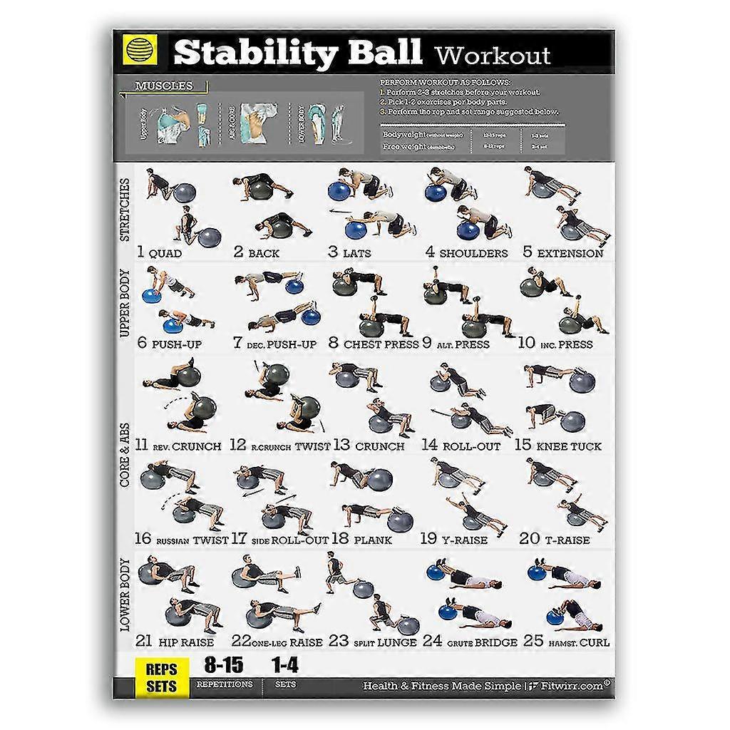 Learning Dumbbell Workout Exercise Poster Laminated Free Weight Body ...
