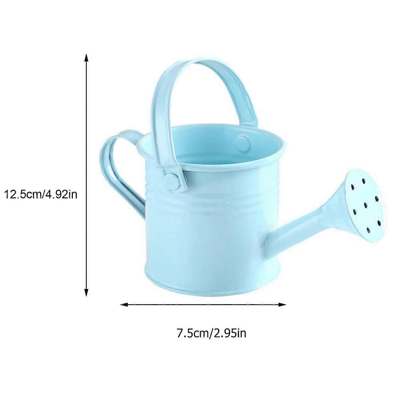 Portable Metal Watering Can with Long Spout, Wrought Iron Handle for ...