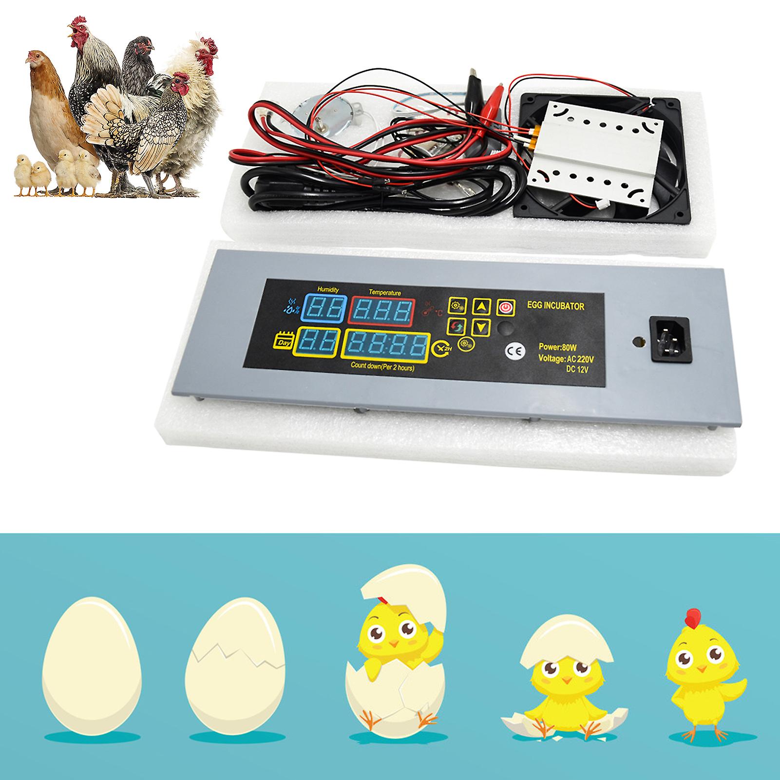 DIY Egg Incubators Hatcher Controller Dual Power Supply DIY Mini ...