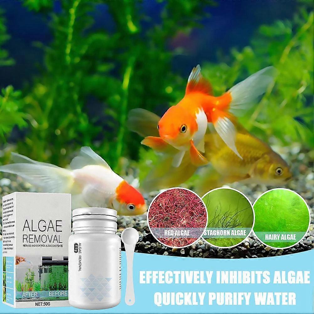 Multipurpose Algae Remover Fish Tank Water Purify Algae Removal Powder ...