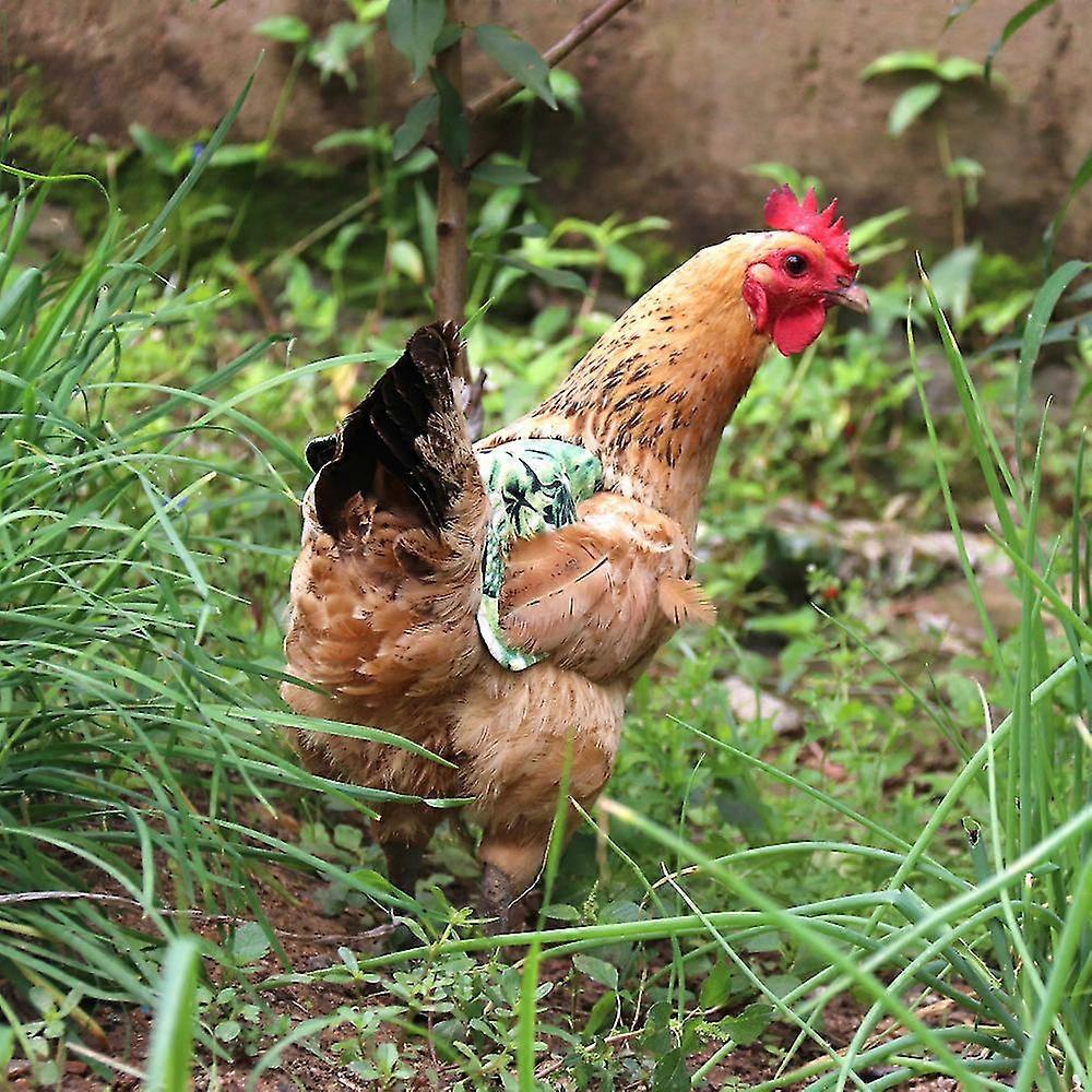 Chicken Saddles , Hen Aprons , Protector Apron For Poultry, Poultry ...