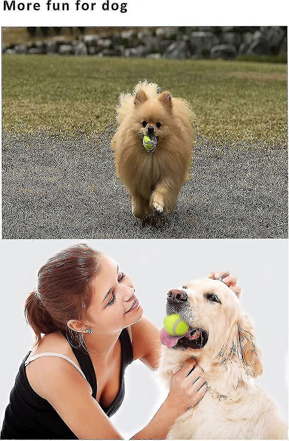 6 Pack Tennis Ball For Dog Pet Sport Ball Medium 2.5 Inch Dog Ball Toys ...