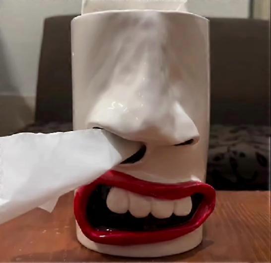 Handmade Funny Face Tissue Holder,Quirky Mouth Nose Tissue Box ...