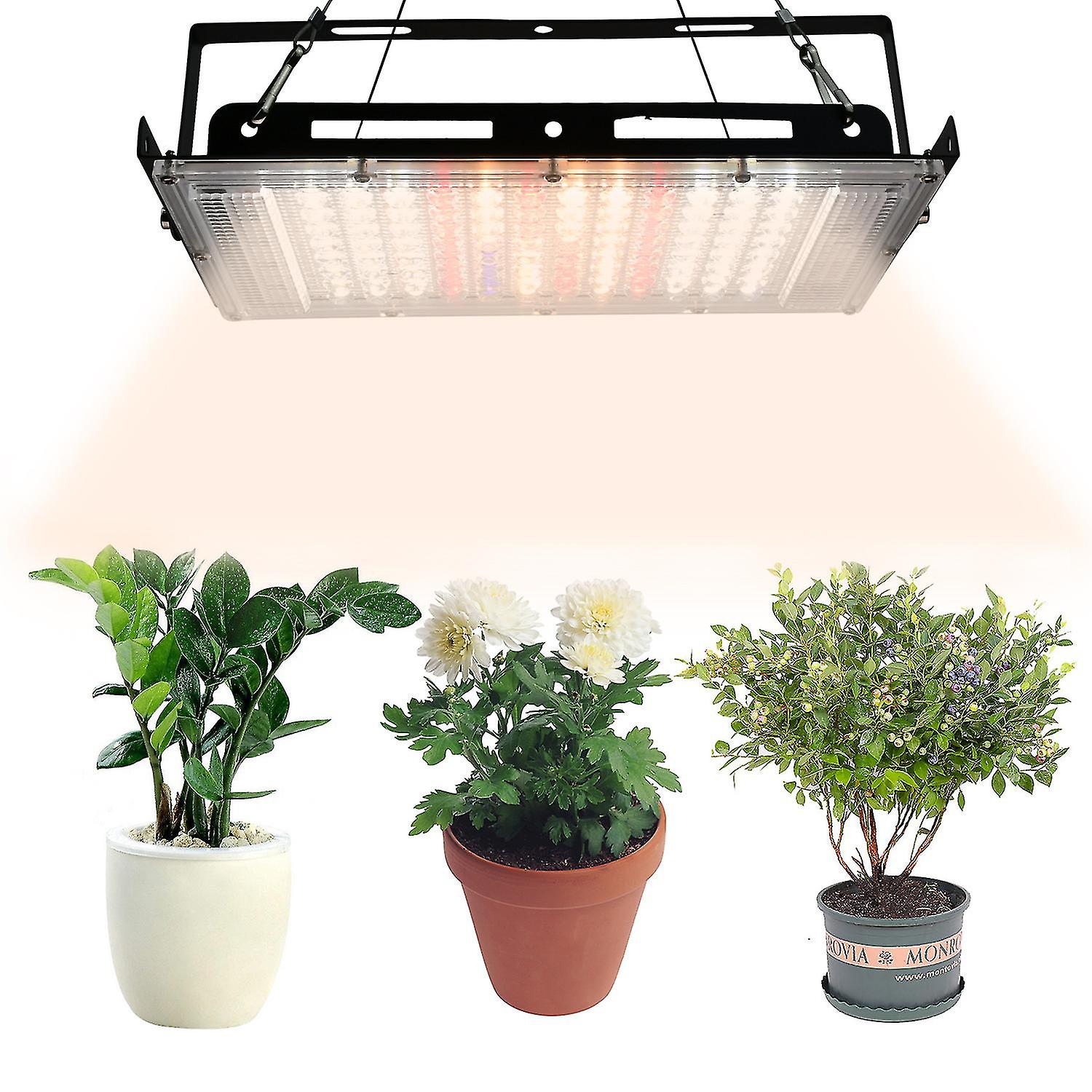 Full Spectrum Plant Fill Light Cross Border Succulent Greenhouse Light ...