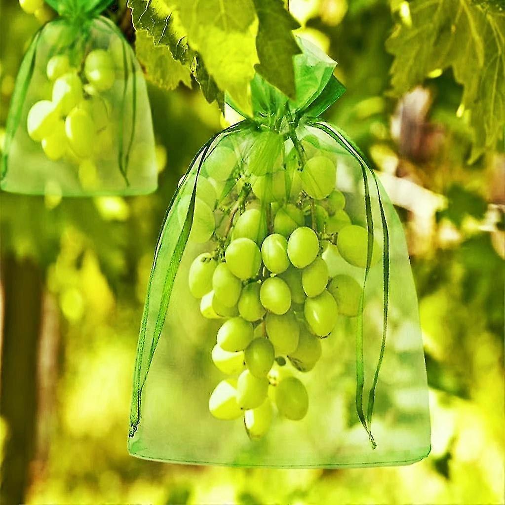100 Piece Protective Bag Grape Protective Bag Green Fruit Belt Rope ...