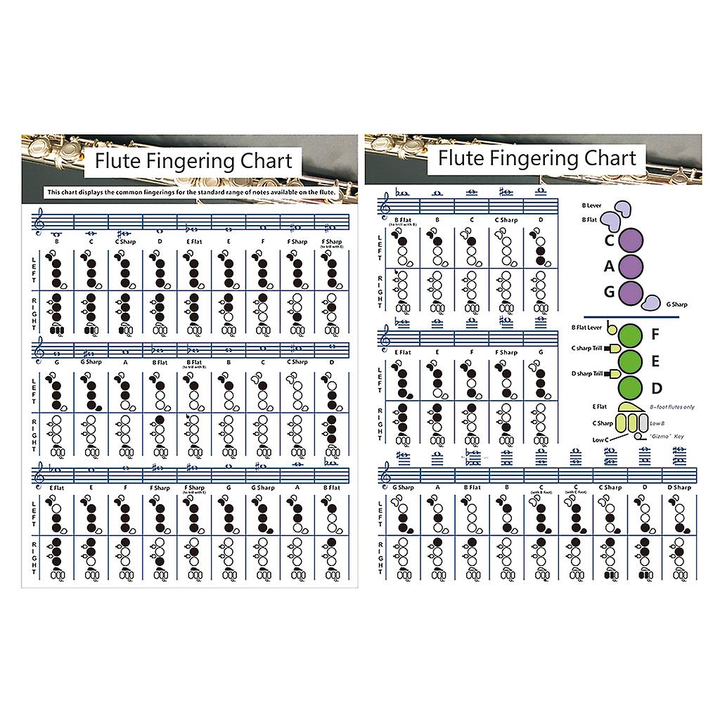 Portable Fingering Practice White Chord Chart For Flute Fingering ...