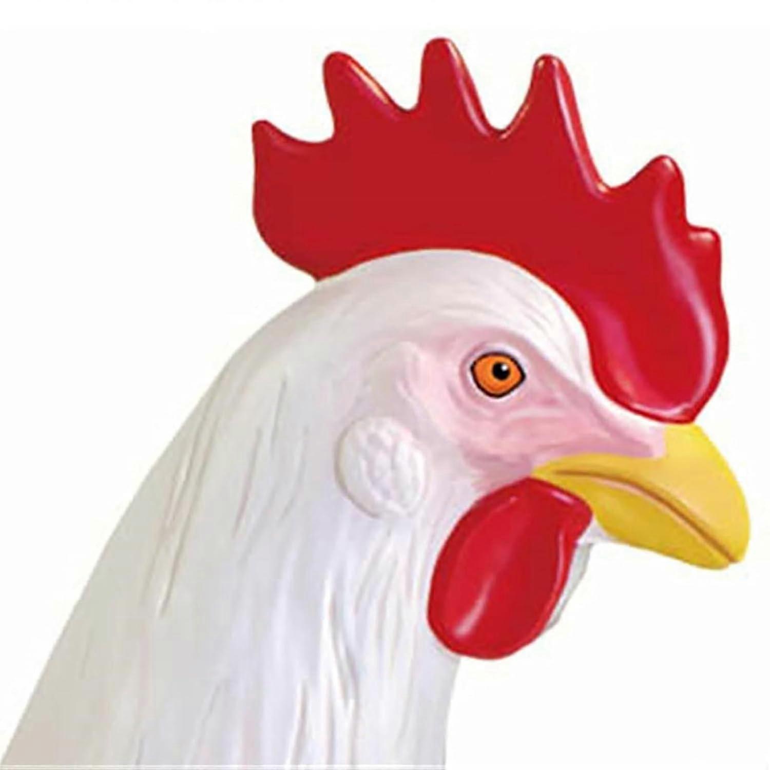 4D Chicken Anatomy Teaching Model Detachable 32 Parts Skeleton ...
