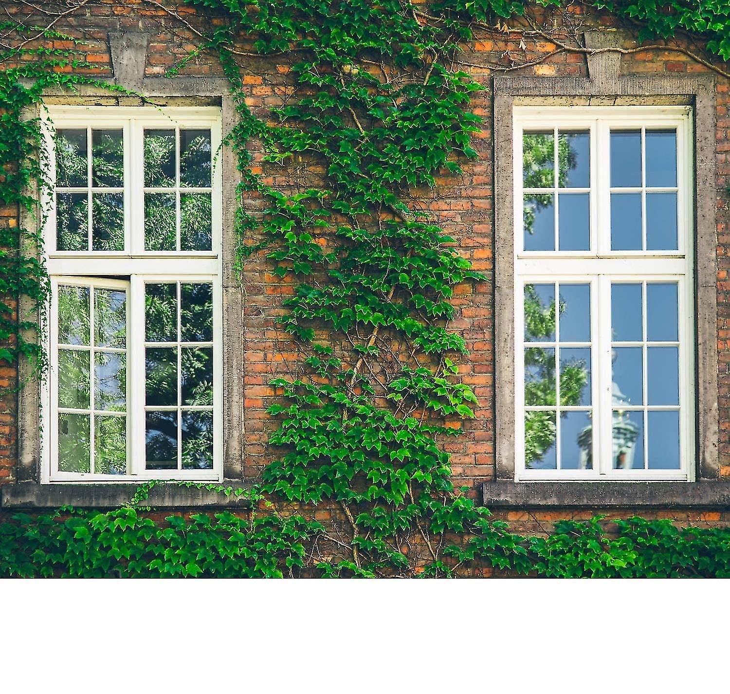 One Way Mirror Glass Film | Fruugo AU