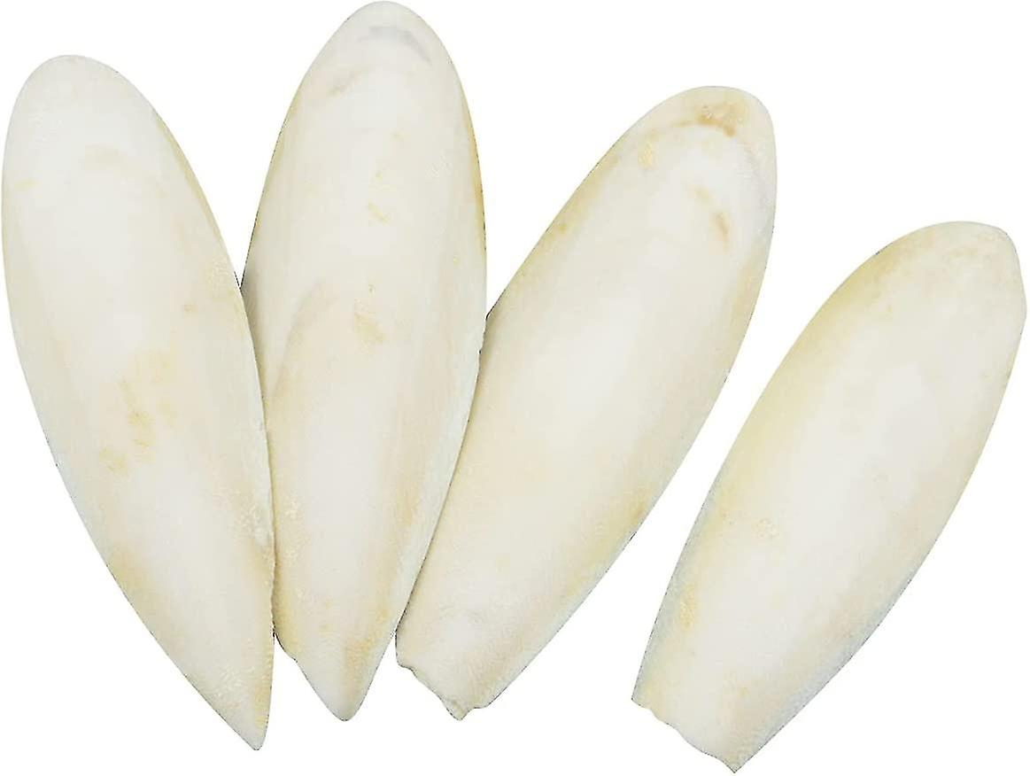 4 PCS Cuttlefish Bone(13-16cm), Birds Parrots Chewing Toys Birds Chew ...