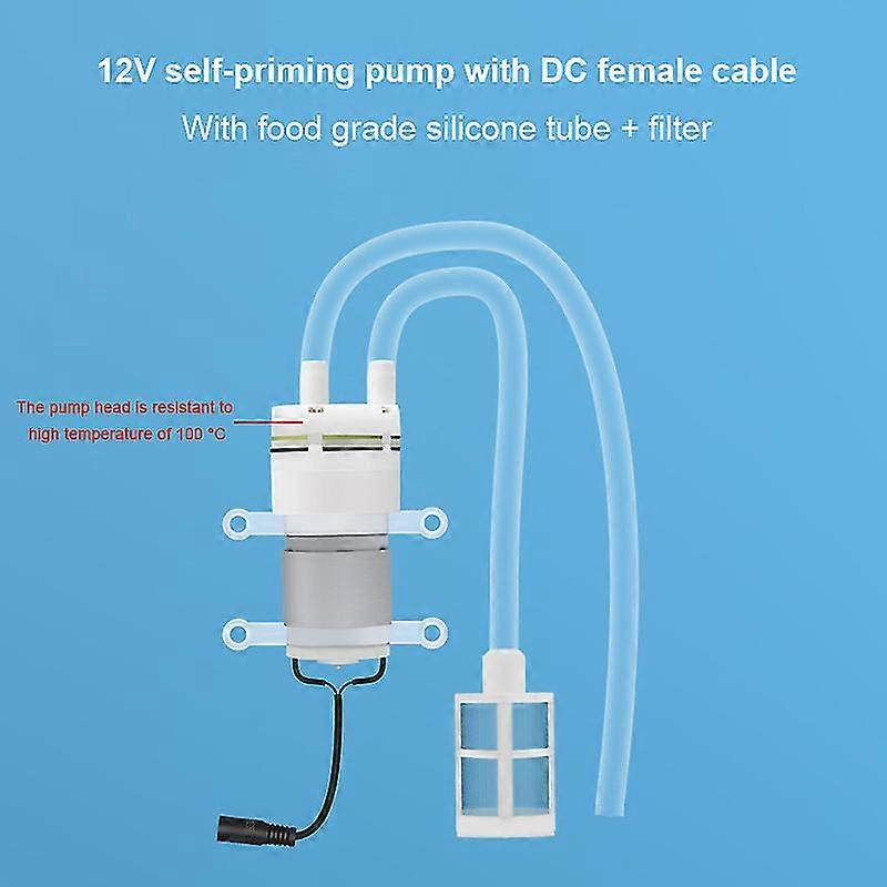 Dc 12v Water Pump Resistant To High Temperature Hot Water Boiling Water ...