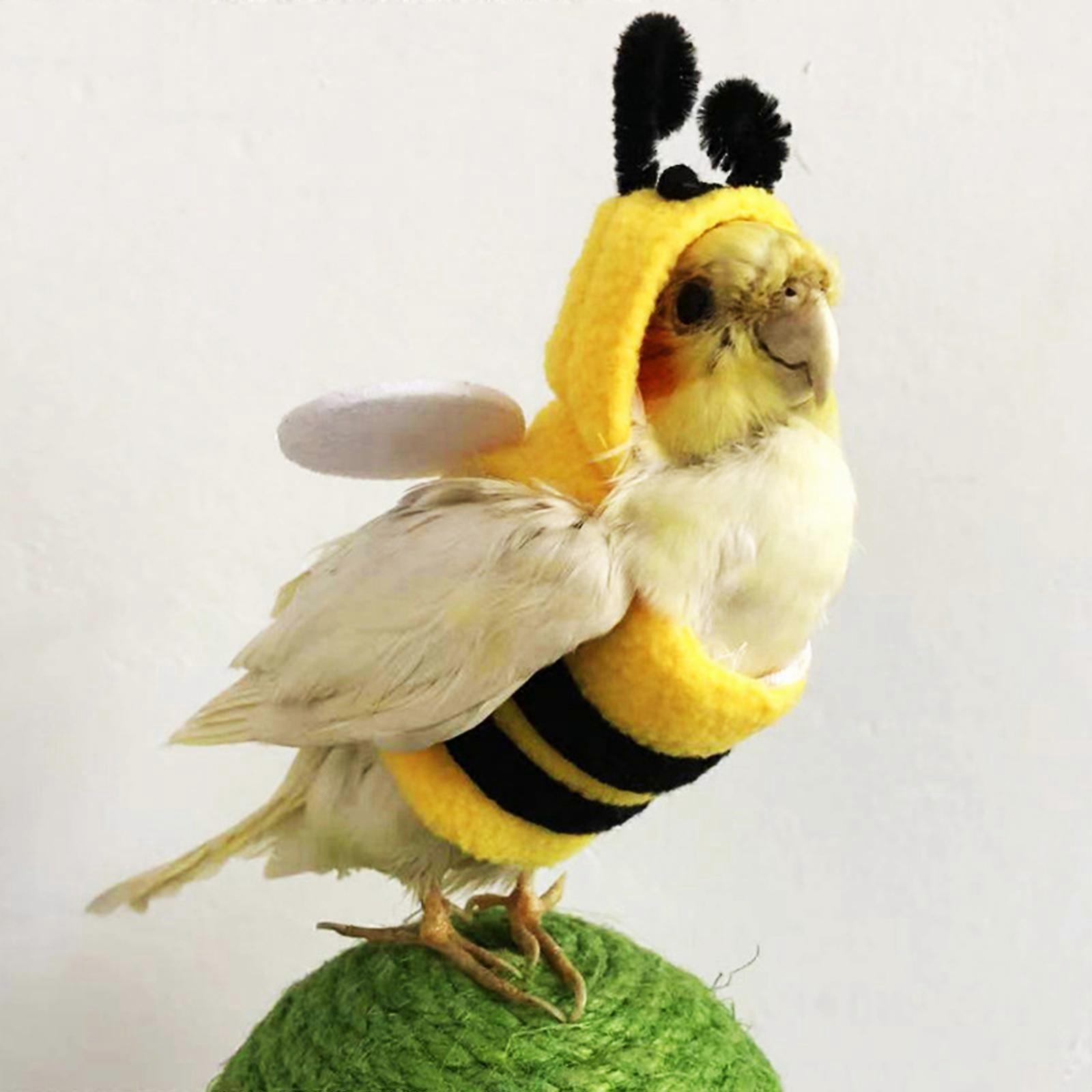 Parrot Suit Fashion Bird Honeybee Costume Cockatoos Clothes Flight Suit ...