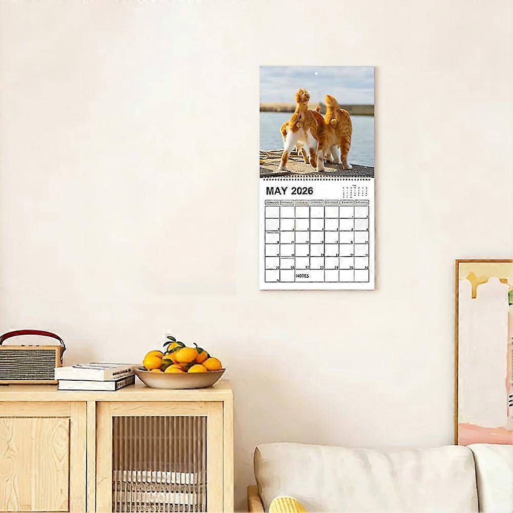 Funny Cat Butthole Calendar 2026, Cat Balls Calendar, 12 Month Cats ...