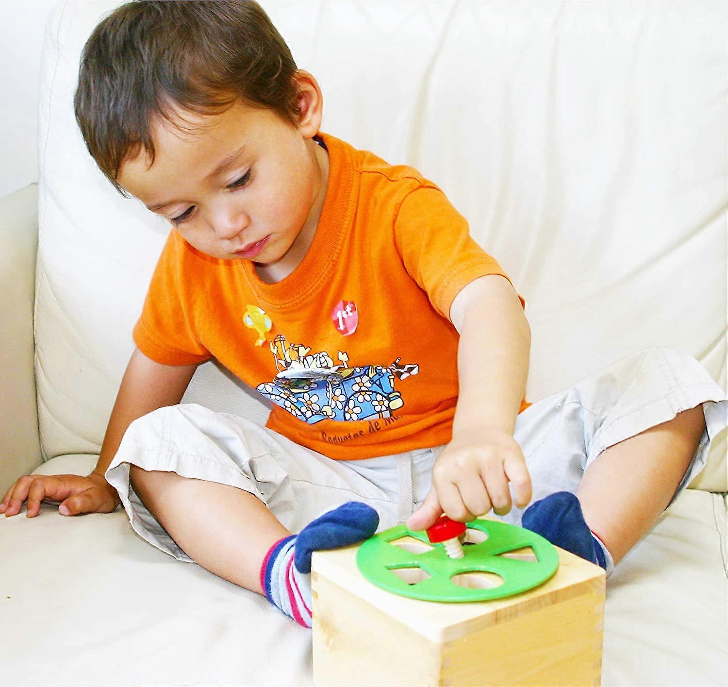 TOWO Wooden Shape Sorter - Sorting Box with Latch Lock - Rotating Wheel ...