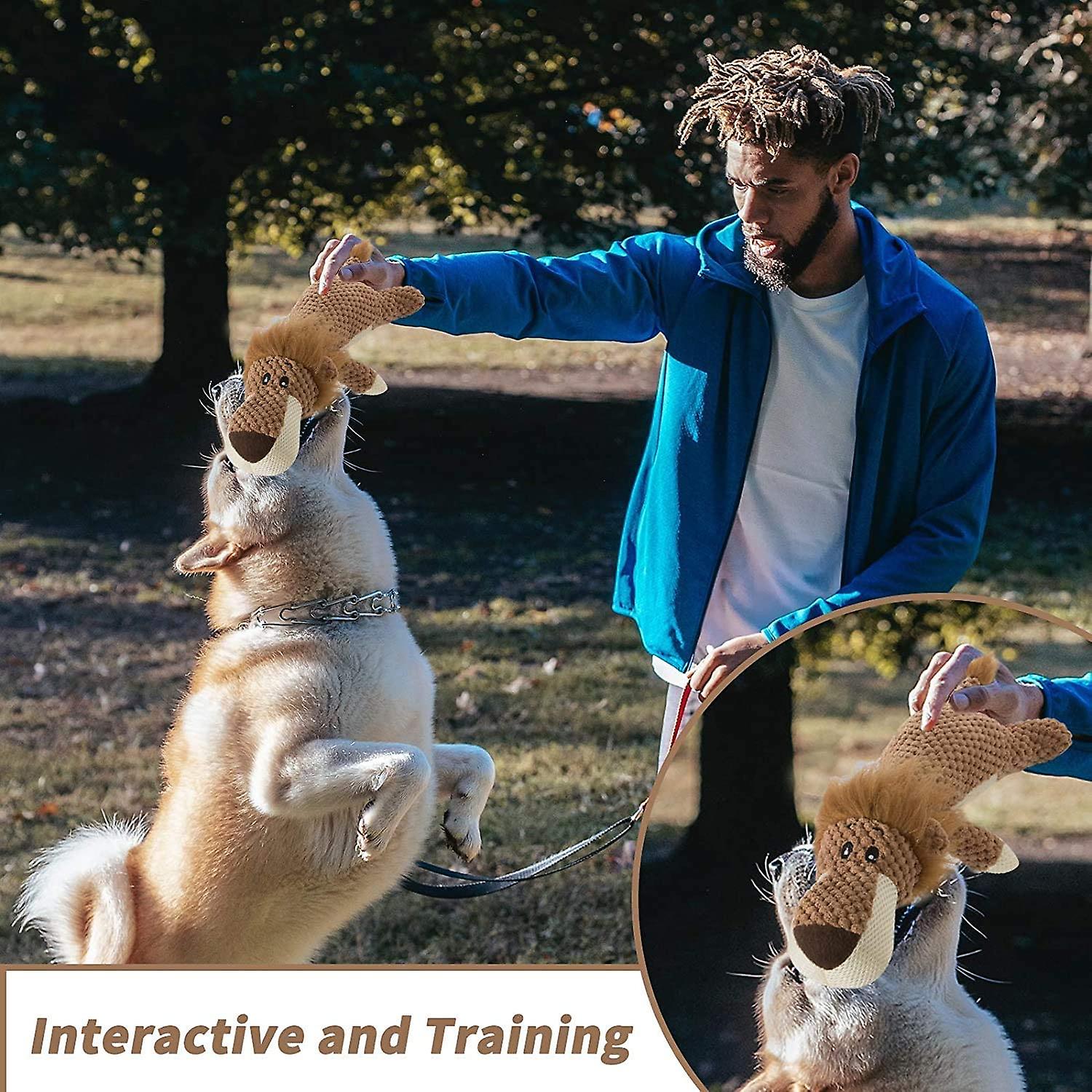 Dog Toys, Squeaky Puppy Toy, Interactive Stuffed Lion Plush Toy and ...