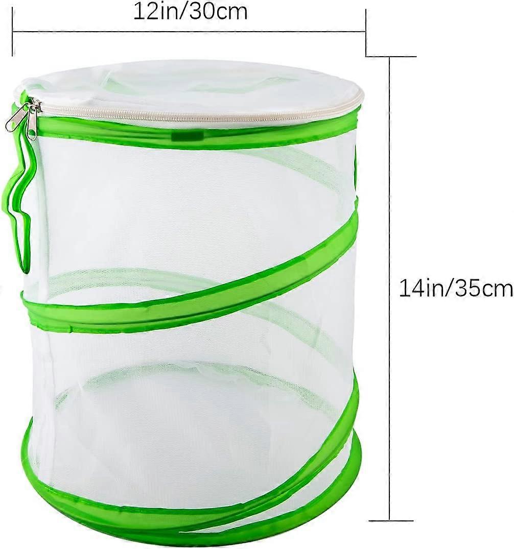 Habitat of insects and butterflies breeding Foldable Cage Insect Mesh ...