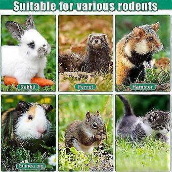 Heated Rabbit Water Bottle, 32 Oz No Drip Water Bottle for Rabbits ...