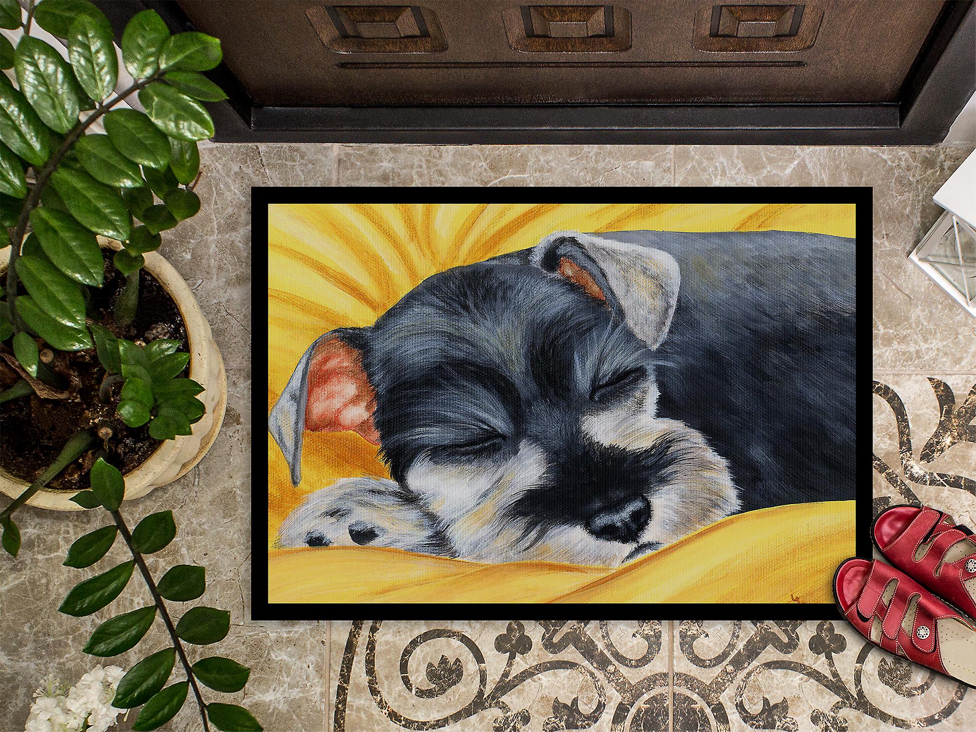 Snoozing Schnauzer Door Mat, Indoor Rug or Outdoor Welcome Mat 18x27 ...
