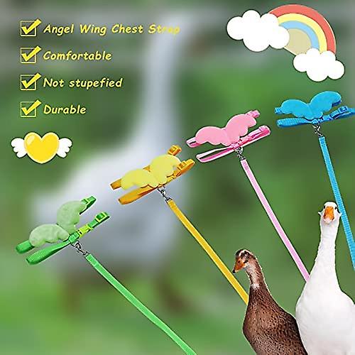 YOITEA 4 Pieces Pet Duck Outside Walking Harness Leash, Hen Chickens ...