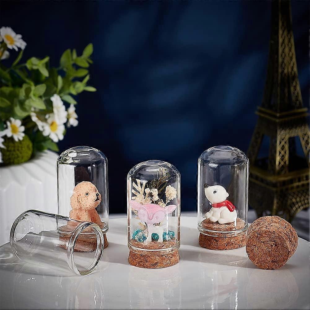 20Set Glass Dome Cover Decorative Display Case Cloche Bell Jar ...
