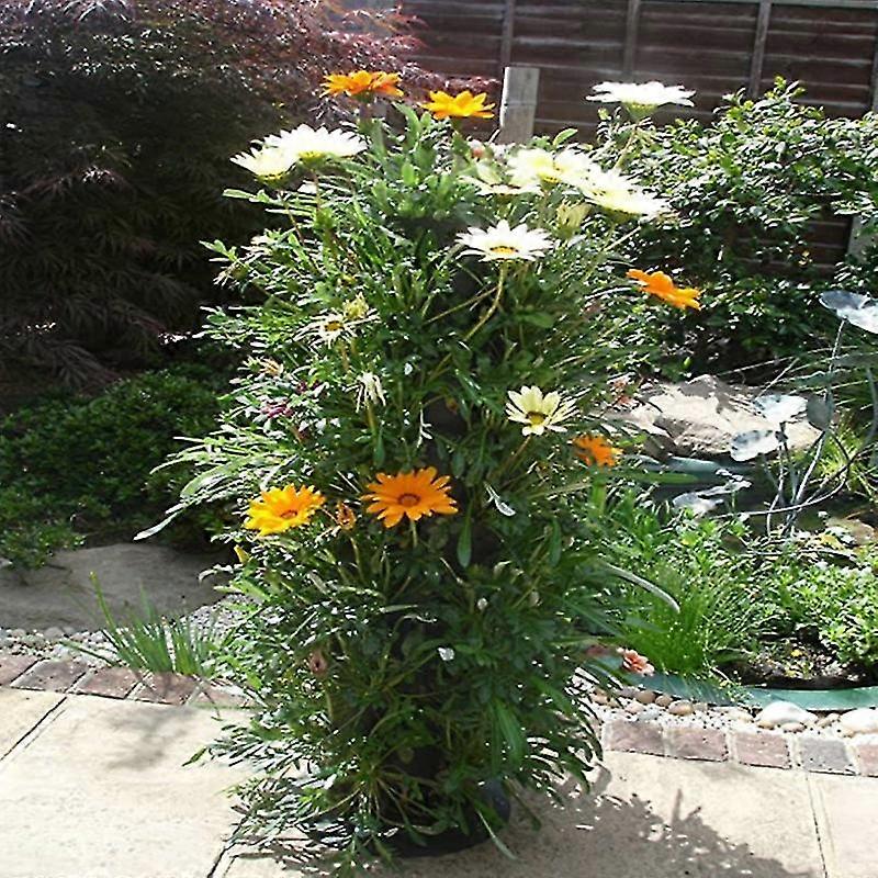 Plant Tower Garden Plant Container Fristående Flower Tower Standing ...