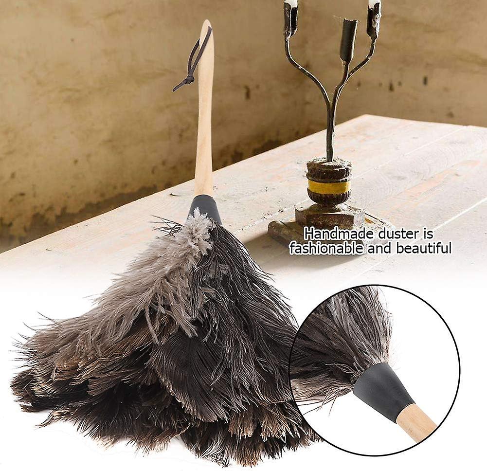 Ostrich Hair Duster, Super Soft Hand Washable Non-static Ostrich ...