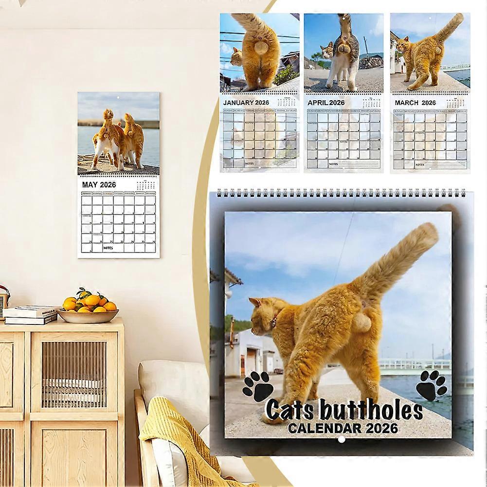 Funny Cat Butthole Calendar 2026, Cat Balls Calendar, 12 Month Cats ...